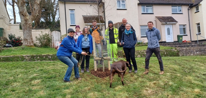 Forest for Cornwall gets underway as volunteers plant trees in Cornwall | LiveWest